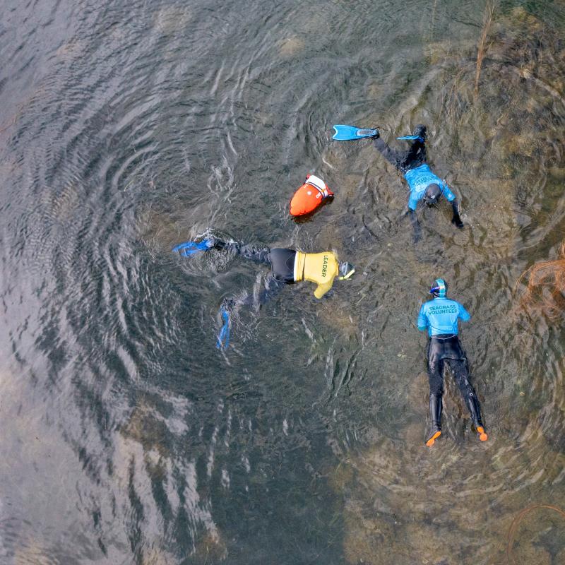 Restoration Forth | WWF